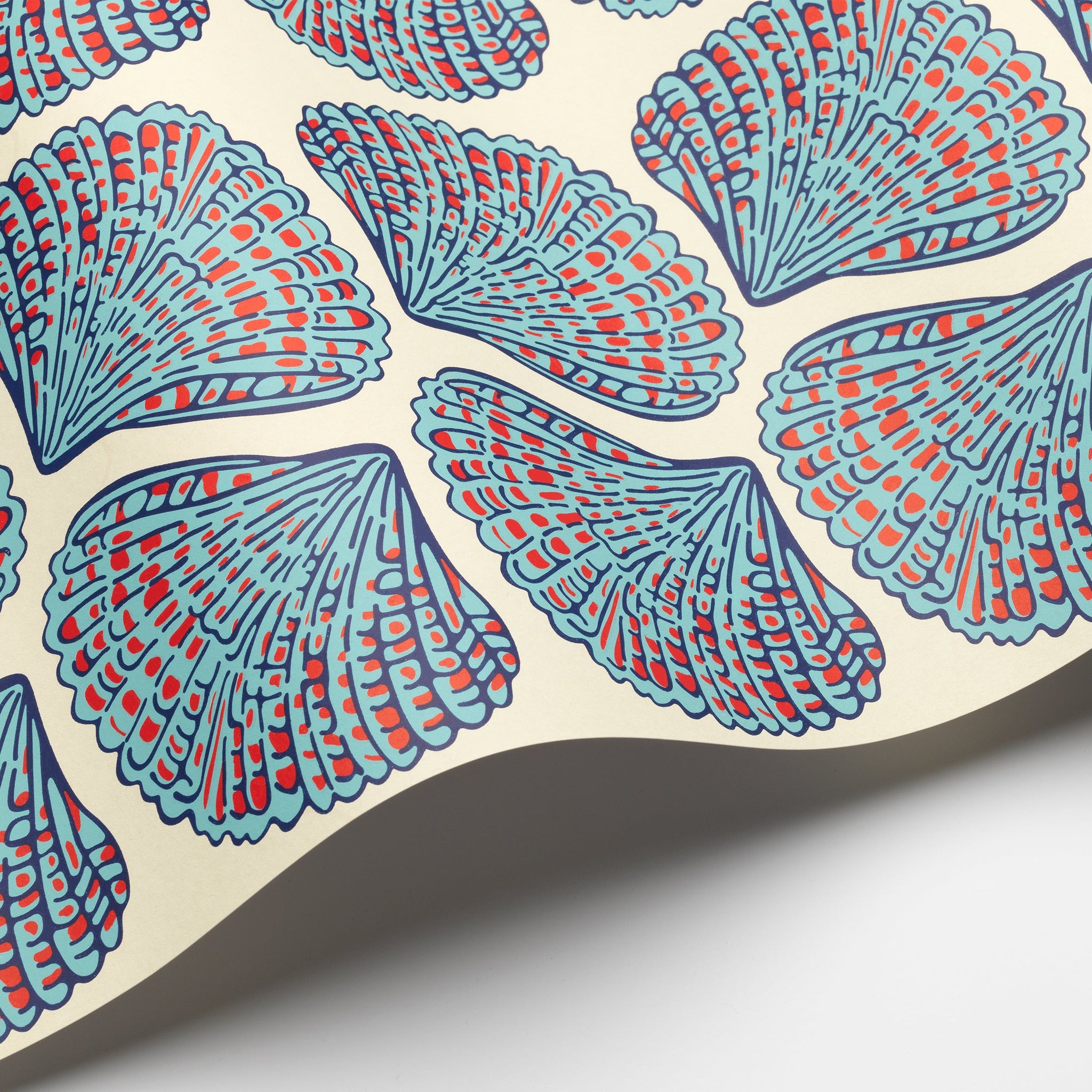 Herzmuscheln Blaue Lagune Wallpaper | Zeuxis Parrhasius Europe ...