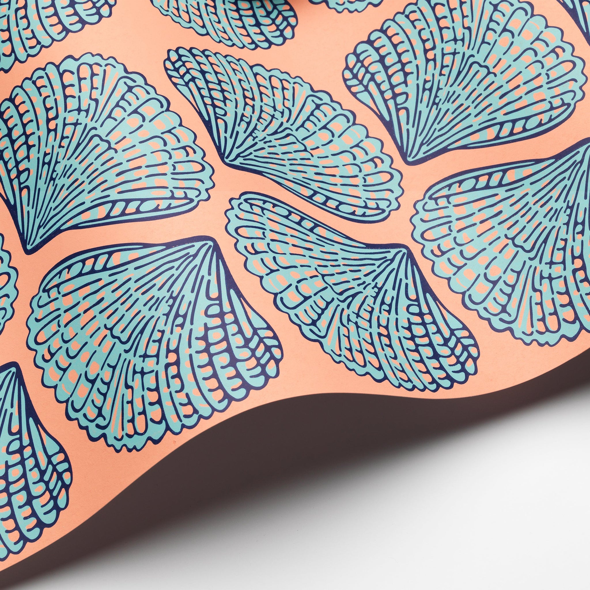 Herzmuscheln Blaue Lagune Wallpaper | Zeuxis Parrhasius Europe ...