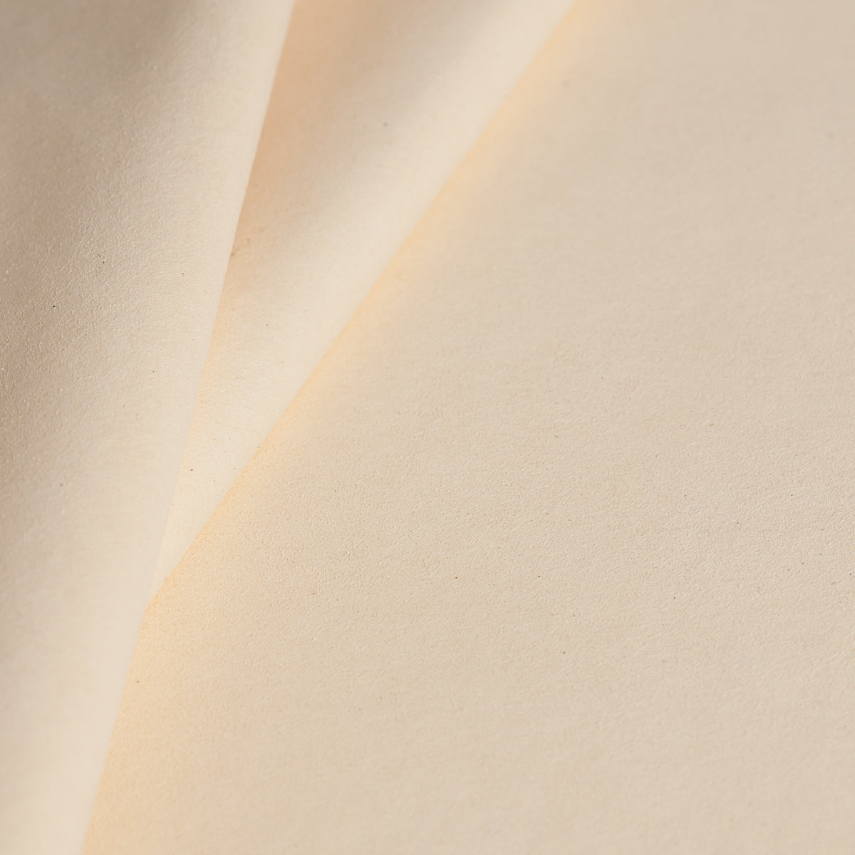 Novasuede™ Fabric & Wallcovering - Vanilla by Novasuede – Designer ...