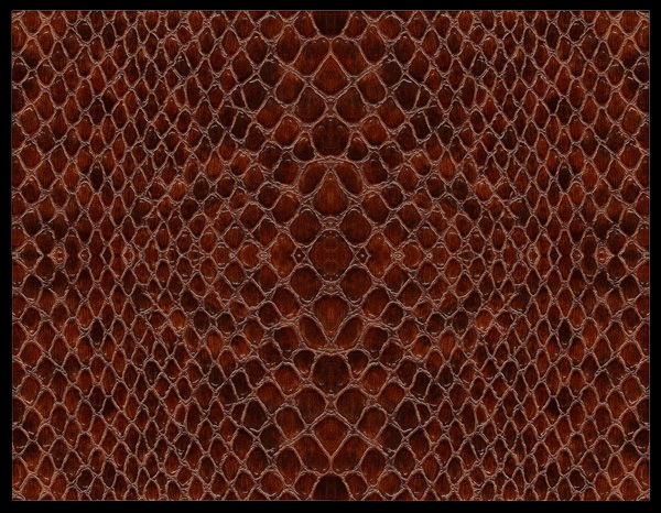 Anaconda Skin Pattern